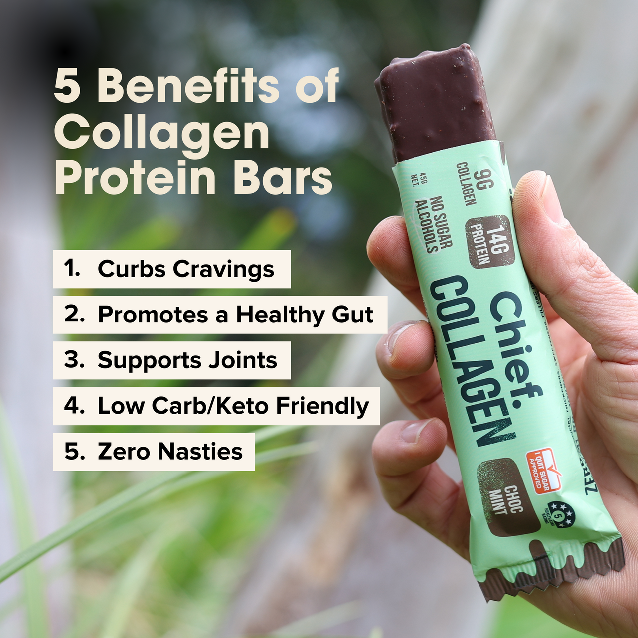 Collagen Choc Mint Protein Bar 45g (12 bars) | Chief Nutrition