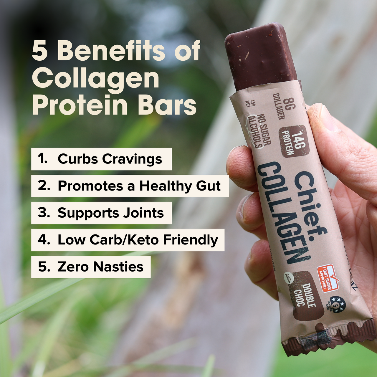 Collagen Protein Bars - Double Choc | Clean Snack Box | Chief Nutrition