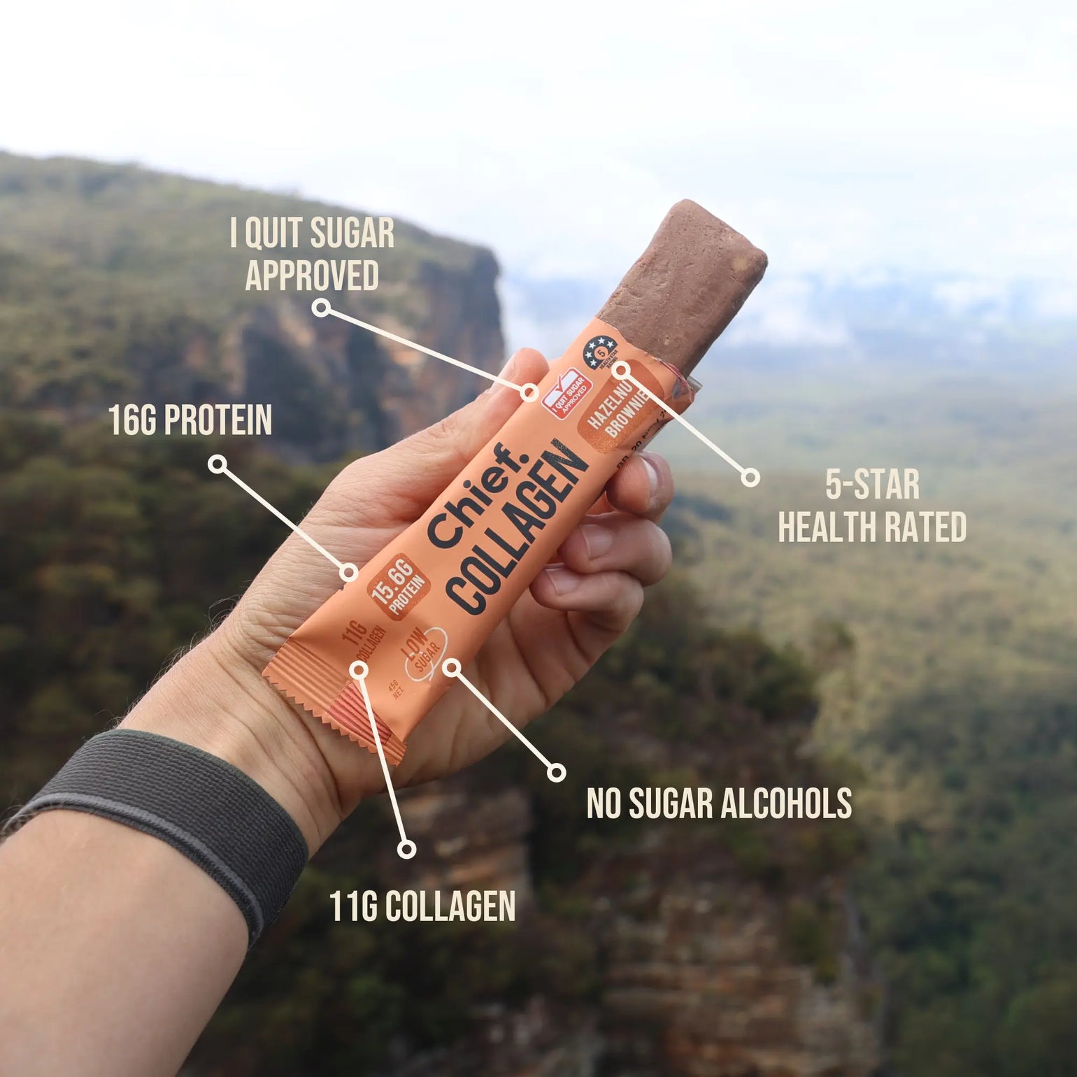 Collagen Protein Bar Mixed Box (12 bars) | Chief Nutrition | Chief ...